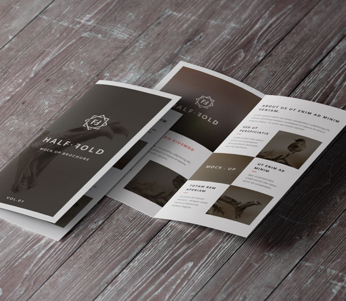 Psd A3 Half Fold Mock-Up vol2 | Pixeden Club