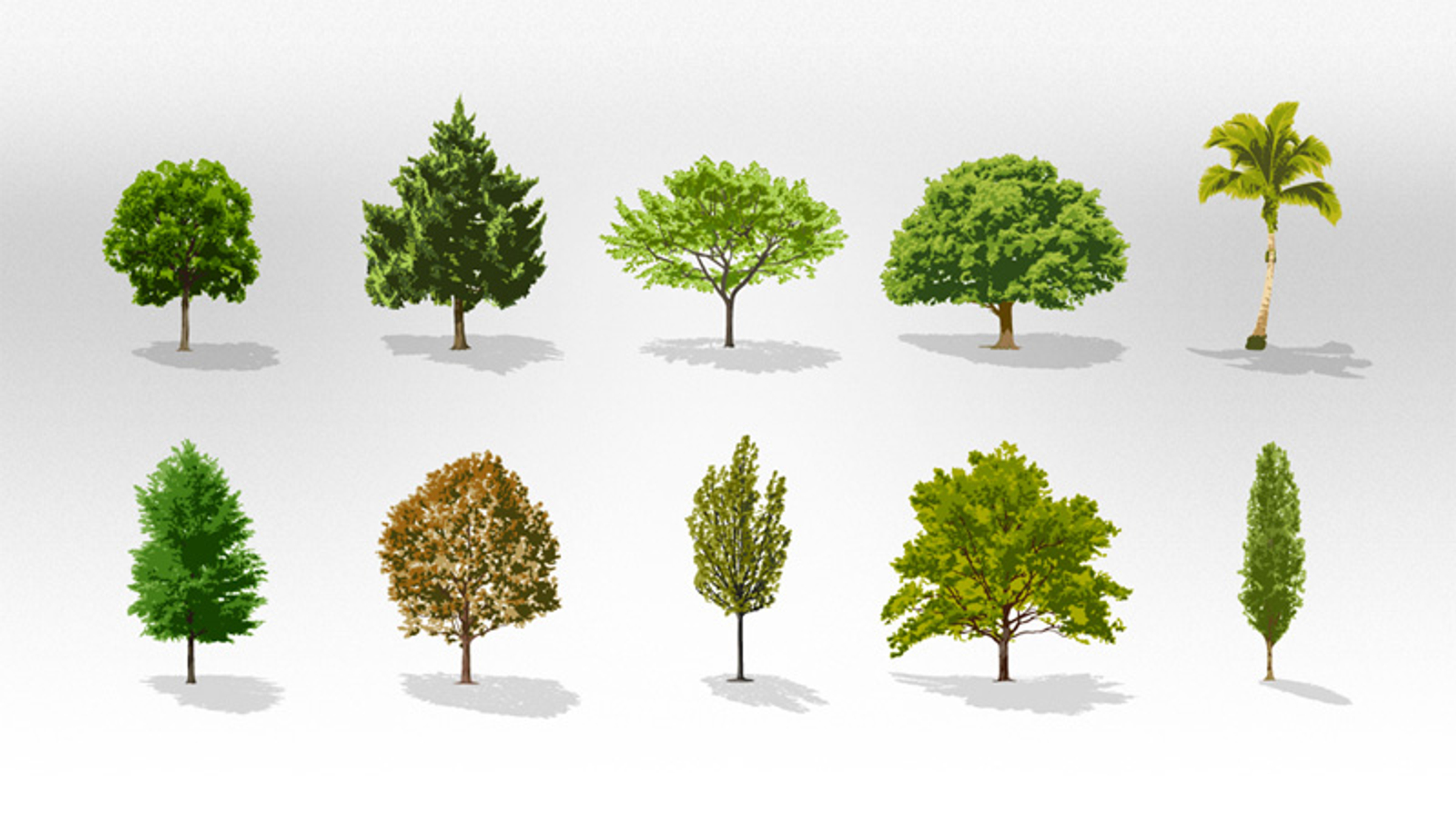 Vector Set Of Trees 192,900+ Fir Tree Stock Illustrations,